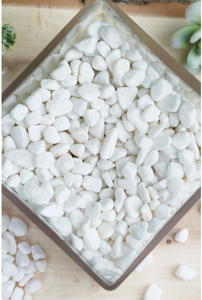 Alyones 1 kg Dolomit Taş 1 2 cm Akvaryum Taşı Çakıl Taşı Bahçe Saksı Taşı Dere Taşı Alyones 1 kg Dolomit Taş 1 2 cm Akvaryum Taşı Çakıl Taşı Bahçe Saksı Taşı Dere Taşı
