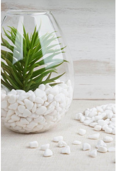 Alyones 1 kg Dolomit Taş 1-2 cm Akvaryum Taşı, Çakıl Taşı Bahçe, Saksı Taşı Dere Taşı Alyones 1 kg Dolomit Taş 1-2 cm Akvaryum Taşı, Çakıl Taşı Bahçe, Saksı Taşı Dere Taşı