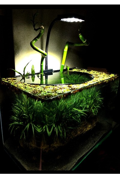 Orion Orionled Nano M1-B Beyaz 6500 Kelvin Orion Orionled Nano M1-B Beyaz 6500 Kelvin