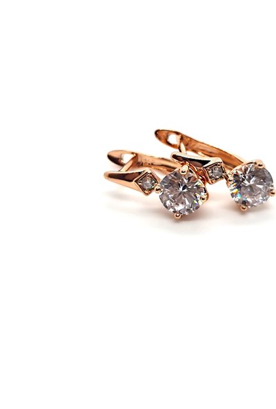Pag Accessories Rose Altın Renk Paslanmaz Çelik Zirkon Taşlı Kadın Küpe