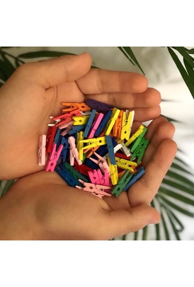 Patladı Gitti Rengarenk Mini Ahşap Mandal 100'LÜ Patladı Gitti Rengarenk Mini Ahşap Mandal 100'LÜ
