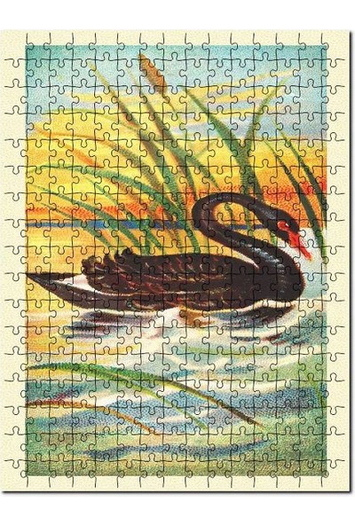 Cakapuzzle Siyah Kuğu Kuşu 1000 Parça Puzzle Yapboz Mdf (Ahşap) Cakapuzzle Siyah Kuğu Kuşu 1000 Parça Puzzle Yapboz Mdf (Ahşap)