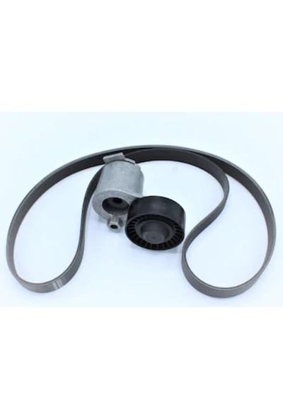 Mais Duster 1 - I Alternatör Kayış Gergi Kiti 117202506R Mais Duster 1 - I Alternatör Kayış Gergi Kiti 117202506R