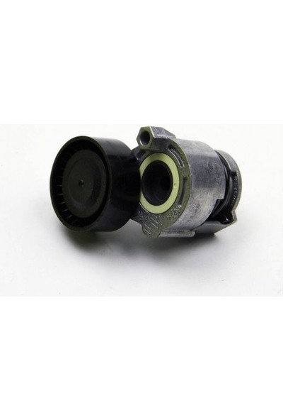 Ithal Mais Scenic 3 - Iıı Alter Gergi Rulmanı Komple 117501113R - 117509654R Ithal Mais Scenic 3 - Iıı Alter Gergi Rulmanı Komple 117501113R - 117509654R