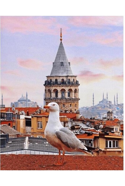 Ena Butik Canvas Galata Kulesi ve Martı Sayılarla Boyama Seti Rulo 40 x 50 cm Ena Butik Canvas Galata Kulesi ve Martı Sayılarla Boyama Seti Rulo 40 x 50 cm