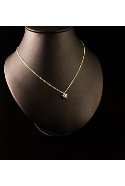 ZYC Yıldız Figürlü 925 Ayar Gümüş Kolye ZYC Yıldız Figürlü 925 Ayar Gümüş Kolye