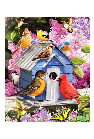 Ena Butik Canvas Kuşların Evi Sayılarla Boyama Seti Rulo 60 x 75 cm