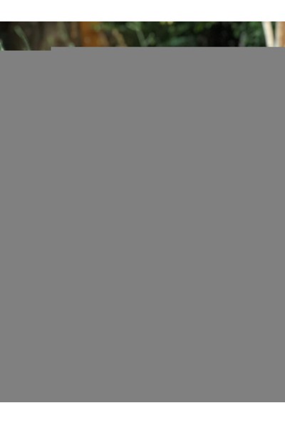 Cigit Balon Kollu Desenli T-Shirt 1-8 Yaş Ekru Papatya Desen