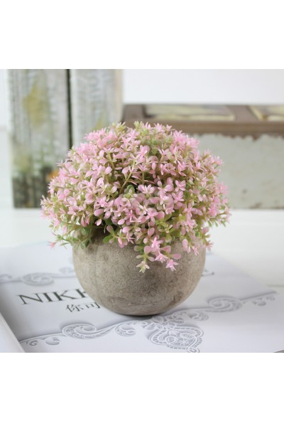 Xgarden Simüle Edilmiş Bitki Yapay Saksı Plastik Soleiria Soleirolii Bitkisi - Pembe (Yurt Dışından) Xgarden Simüle Edilmiş Bitki Yapay Saksı Plastik Soleiria Soleirolii Bitkisi - Pembe (Yurt Dışından)