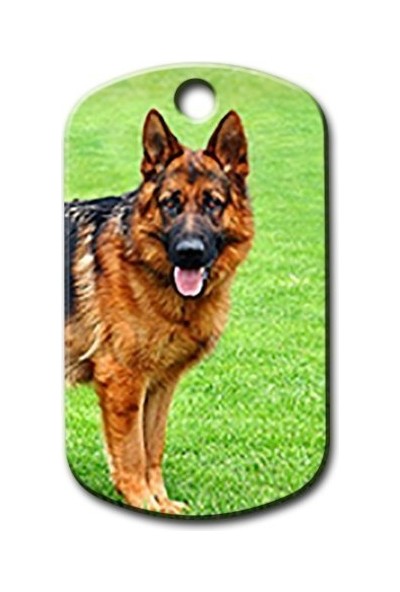 Alman Kurdu Resimli Köpek Künyesi