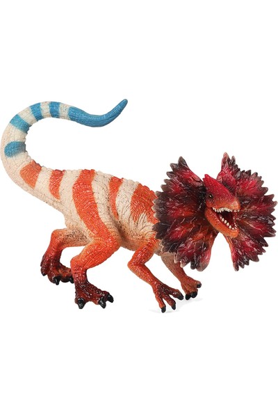 Perfeclan Eğitici Oyuncak (Yurt Dışından)