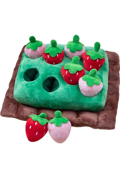 Perfeclan Eğitici Oyuncak (Yurt Dışından)