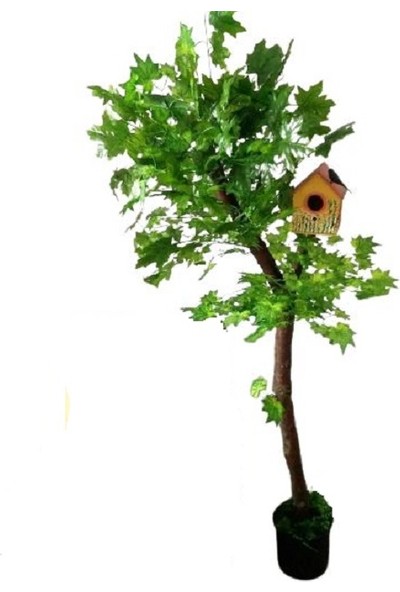 Botanik Bahçesi Yapay Çınar Ağacı Kuş Yuvalı 1.75 mt Boy Tasarım Ağaç Gerçek Doku Doğal Görünüm Botanik Bahçesi Yapay Çınar Ağacı Kuş Yuvalı 1.75 mt Boy Tasarım Ağaç Gerçek Doku Doğal Görünüm