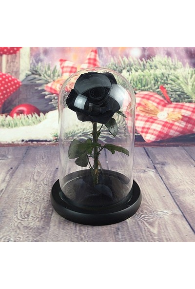 Solmayan Siyah Gül Solmayan Siyah Gül