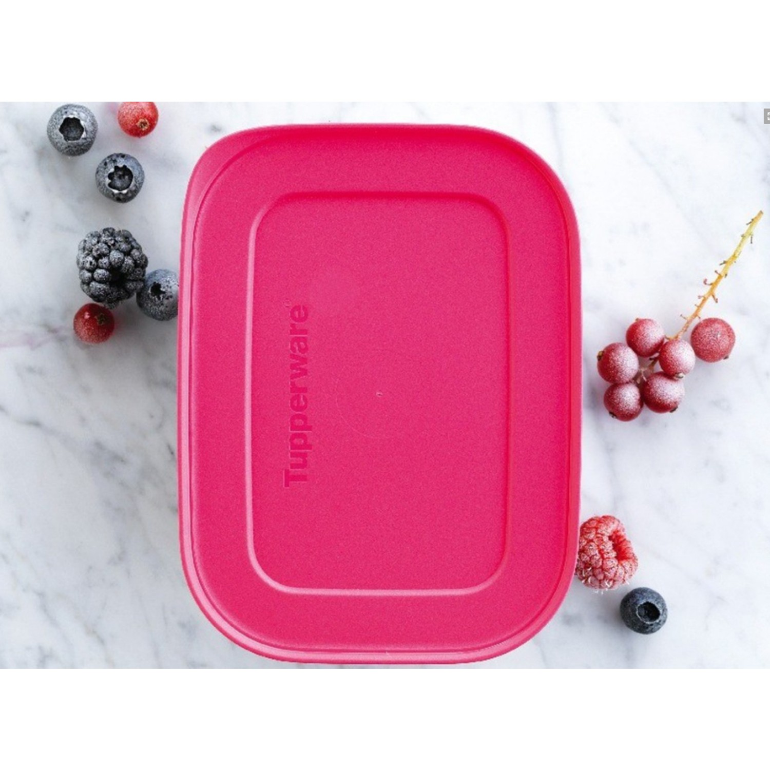 Tupperware Alaska Kare Set 2'li Fiyatı - Taksit Seçenekleri
