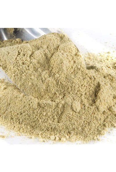 Mecitefendi Zencefil Toz 100 gr