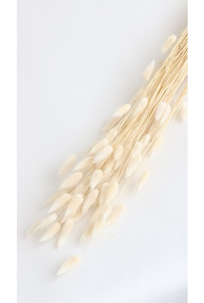 Yapay Çiçek Evim Kuru Çiçek Buketi Pamuk Otu 70 Cm