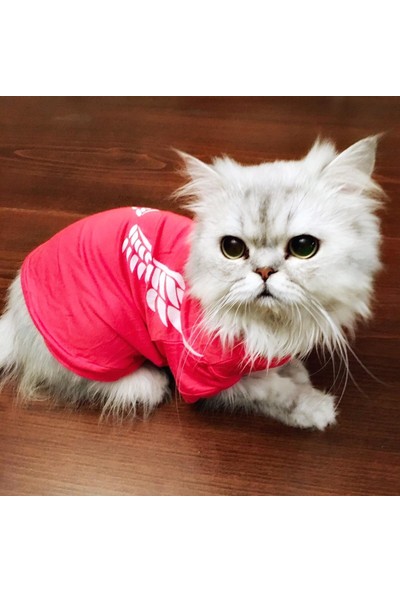 Kemique Angel Melek Kedi Tişört