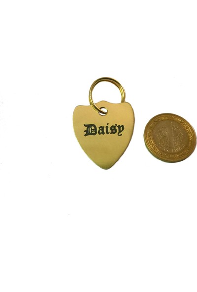 Mg Orta Boy Köpekler İçin Künye,İsimlik