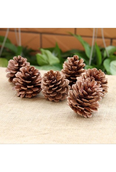 Hediyemania Yılbaşı Çam Ağacı için Büyük Boy Kozalak 12 Adet Kaliteli Hediyemania Yılbaşı Çam Ağacı için Büyük Boy Kozalak 12 Adet Kaliteli