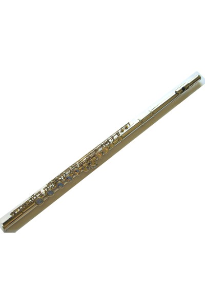 Conductor M1115N Nikel Yan Flüt Conductor M1115N Nikel Yan Flüt