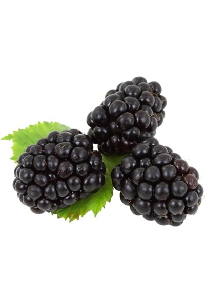 Mutlu Sebzeler Böğürtlen 125gr'lık 1 paket Mutlu Sebzeler Böğürtlen 125gr'lık 1 paket