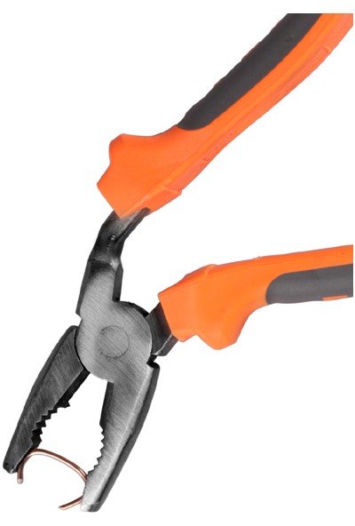 Fox Kargaburun, Kavrama Pensesi