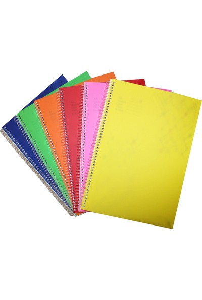 Color Liva A5 Pp Kapak Spiralli Okul Defteri 6'Lı 120 Yaprak Kareli