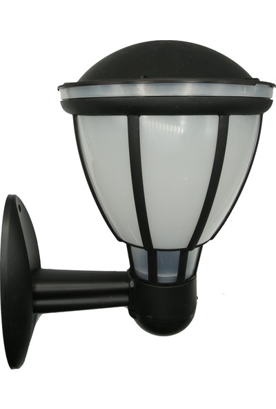 Zita Bahçe Aydınlatma Armatürü Duvar
