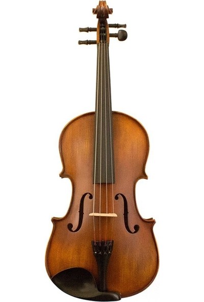 Carlovy Vaa8-16 Viyola 16