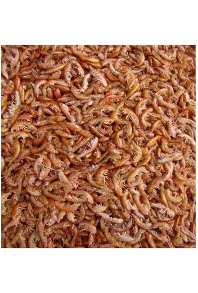 White Balance Gammarus Kaplumbağa Yemi 500 gr White Balance Gammarus Kaplumbağa Yemi 500 gr