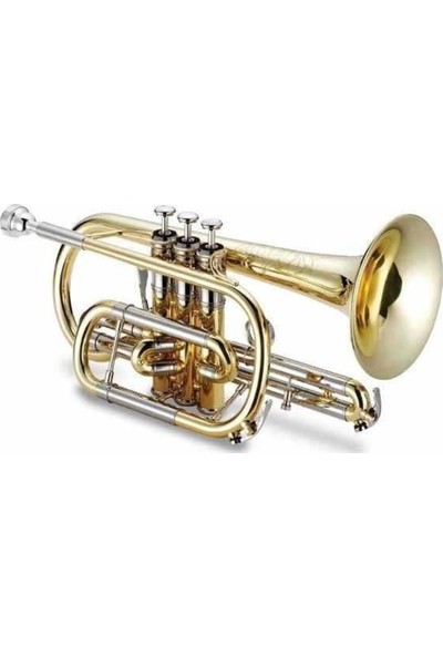 Jupiter Jcr-1220L Altın Lake Kornet