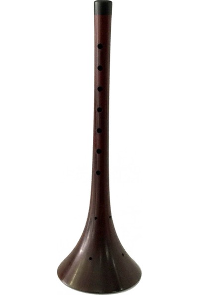 Profesyonel Zurna Erik Ağacı