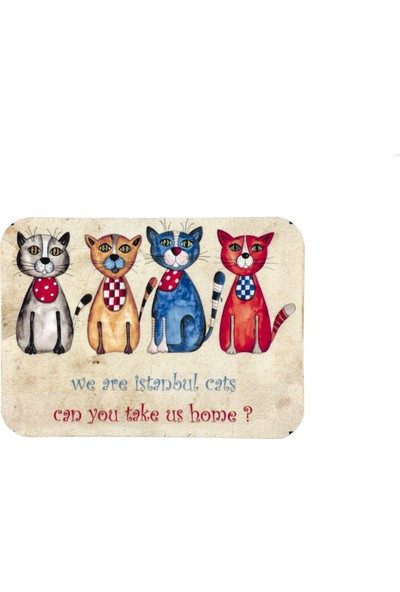 Haytap İstanbul Kedileri Magnet