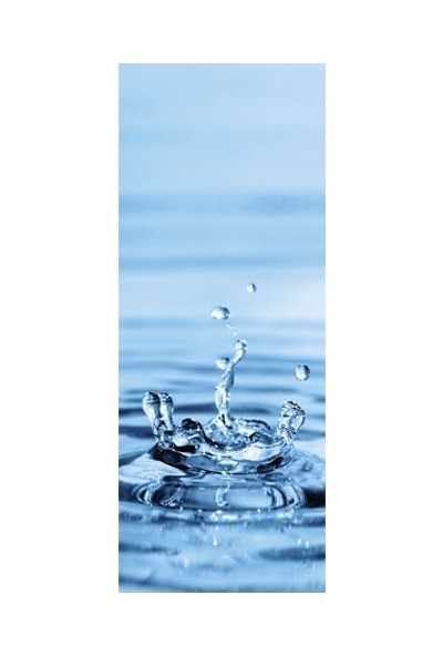 Artikel Yaşam Buzdolabı Sticker