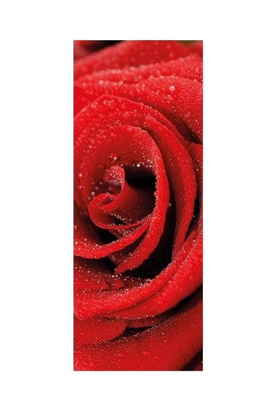 Artikel Kırmızı Gül Buzdolabı Sticker