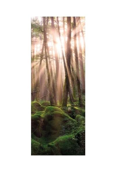 Artikel Aydınlık Buzdolabı Sticker Artikel Aydınlık Buzdolabı Sticker