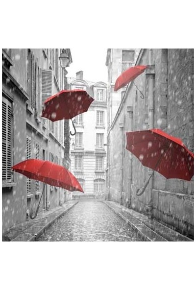 Artikel Kırmızı Şemsiyeler Bulaşık Makinesi Sticker