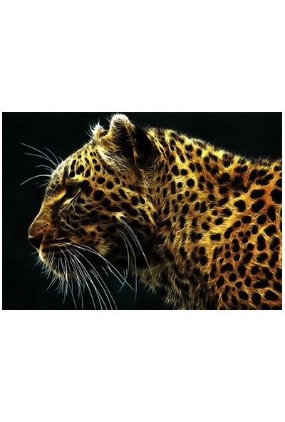 Artikel Leopar-2 Notebook Sticker,Laptop sticker,Hp Sticker,Asus Sticker,15.6 inç Sticker Artikel Leopar-2 Notebook Sticker,Laptop sticker,Hp Sticker,Asus Sticker,15.6 inç Sticker