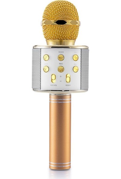 Goldmaster Star 2018 Karaoke Altın Sarısı Mikrofon Goldmaster Star 2018 Karaoke Altın Sarısı Mikrofon