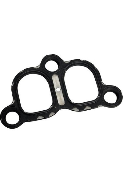 Elring Emme Manifold Contası 2.5 Axd Motor 070129717A T5