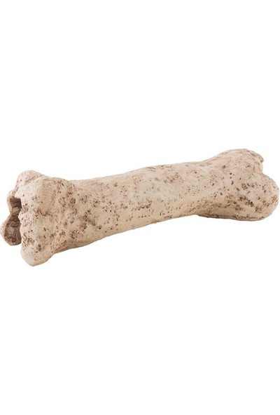 Exo Terra Dinazor Kemiği