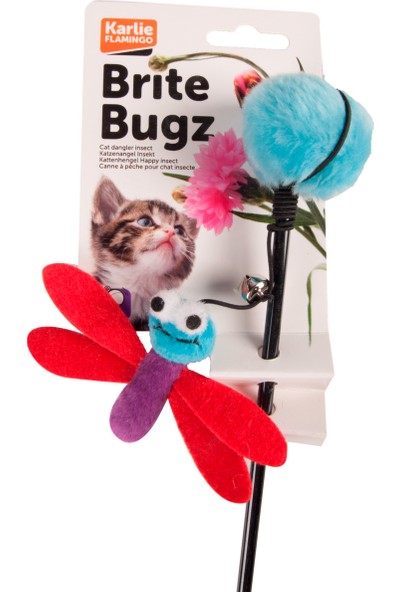 Karlie Kedi Oltasi Yusufcuk