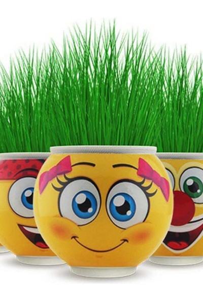 Turkafone Çim Adam 36 Adet Eğlenceli Sevimli Emojili Çim Kafalar Turkafone Çim Adam 36 Adet Eğlenceli Sevimli Emojili Çim Kafalar
