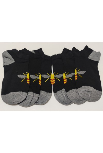 Ayla Store 6'lı Çocuk Patik Çorap Ayla Store 6'lı Çocuk Patik Çorap