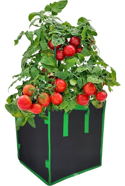 Xgarden Bahçe Büyümek Çanta Kare Ekici Kutusu Dikim Yatağı Tencereyi Kulplarla Yetiştirmek Nefes Alabilen Çiçek Sebzeleri Bitki Kap Kılıfı Keçe Ekici Torbası - 3 Galon (Yurt Dışından) Xgarden Bahçe Büyümek Çanta Kare Ekici Kutusu Dikim Yatağı Tencereyi Kulplarla Yetiştirmek Nefes Alabilen Çiçek Sebzeleri Bitki Kap Kılıfı Keçe Ekici Torbası - 3 Galon (Yurt Dışından)