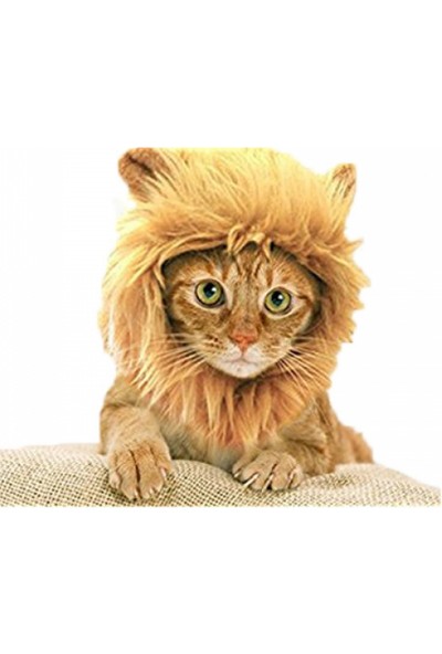Roxo Shop Kedi Aslan Yelesi Peruk