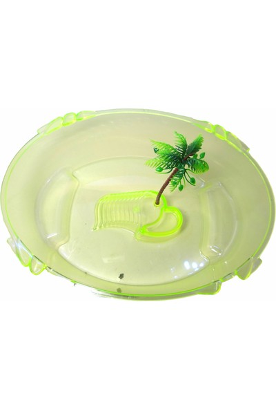 Girist Pet Kaplumbağa Bahçesi Kaplumbağa Havuzu Kaplumbağa Evi Yeşil