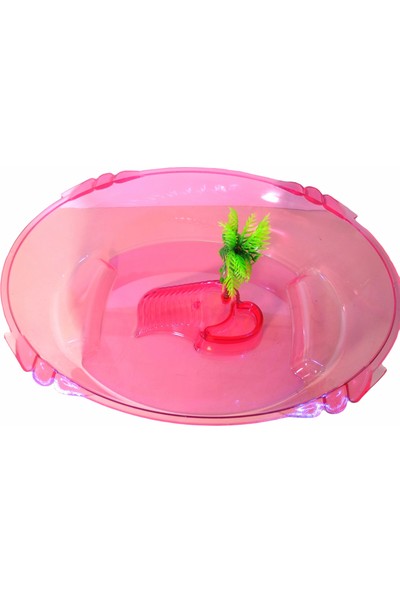 Girist Pet Kaplumbağa Bahçesi Kaplumbağa Havuzu Kaplumbağa Evi Pembe