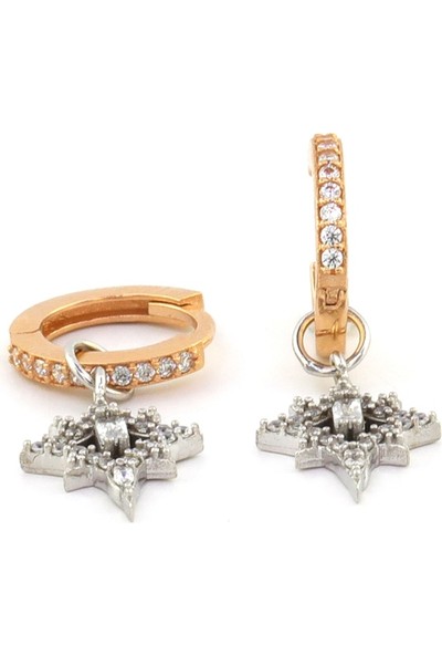 Altınkaynak 14 Ayar Roz Altın Küpe